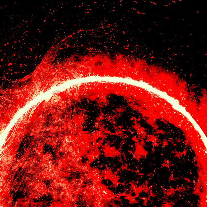 Review 1229 : Stellar Death – Sentient (Chapter 1) – Acta Infernalis