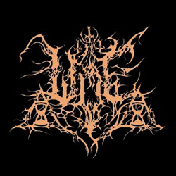 Review 1891 : Woe – Legacies of Frailty – English – Acta Infernalis